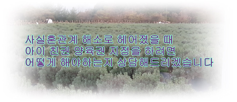 혼인신고를 안하고 사실혼관계로 살던 남편과 헤어진 후 양육비를 받기 위해서 아이 친권자 양육권자 지정 양육비 청구 소장 접수
