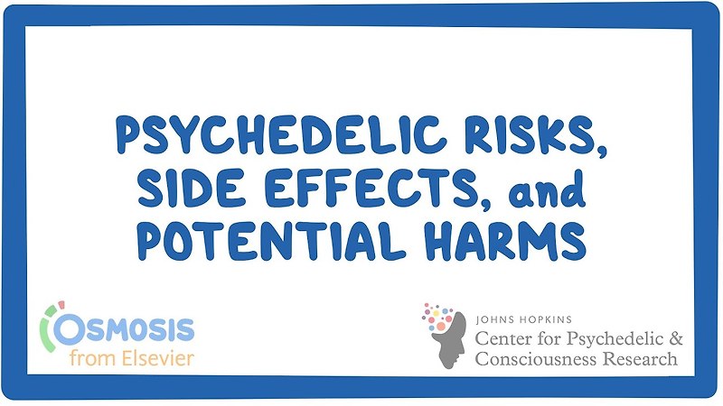 JHMI - Psychedelic Risks, Side Effects, and Potential Harms