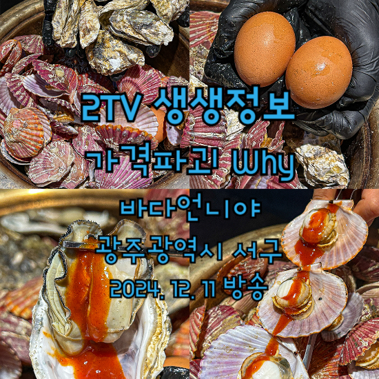 2TV 생생정보 2184회 가격파괴 Why 굴찜 가리비찜 무한 리필 1인 16000원 광주 서구 바다언니야