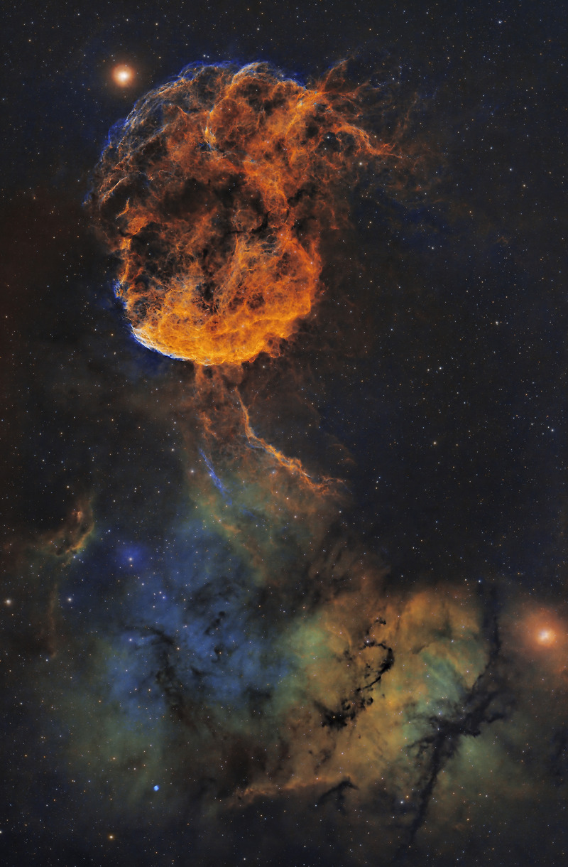 반야...렌즈로 세상을 품다 :: Jellyfish nebula, IC443/SHO