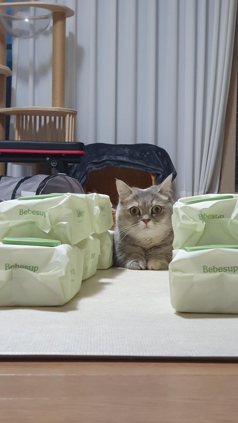 [논문리뷰] SqueezeLLM: Dense-andSparse Quantization