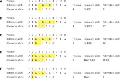 Variant Call Format Normalization Contributes to the Accuracy of ...