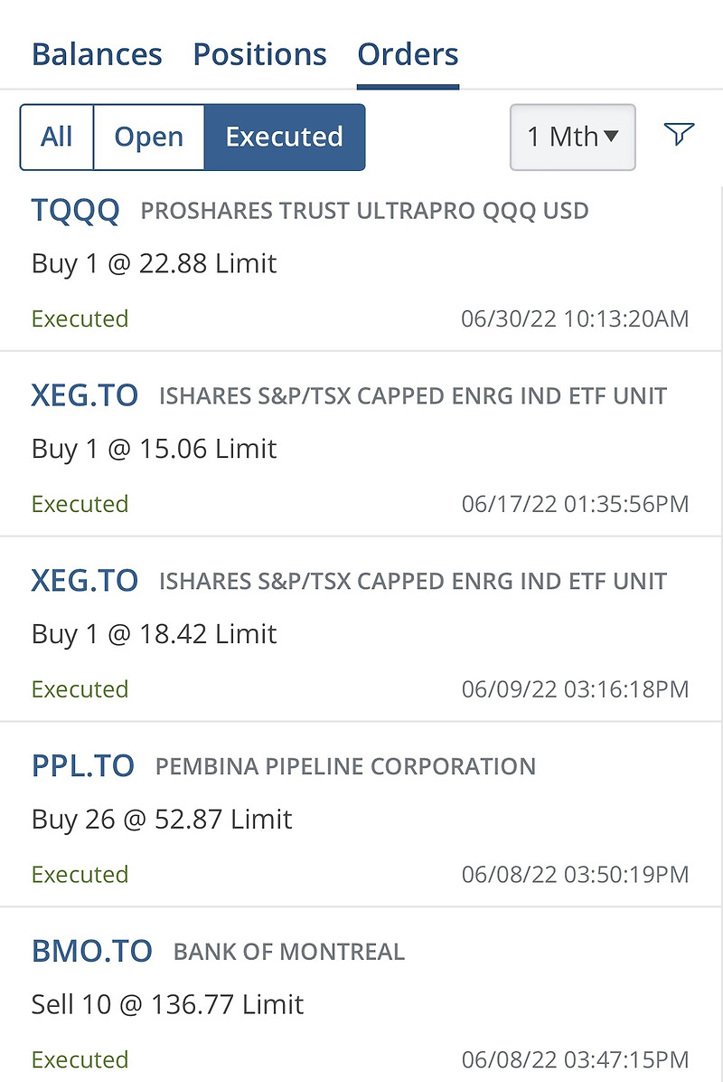 [6월 투자] BMO.TO 일부 매도 & TQQQ, UPRO, PPL.TO, XEG.TO 매수