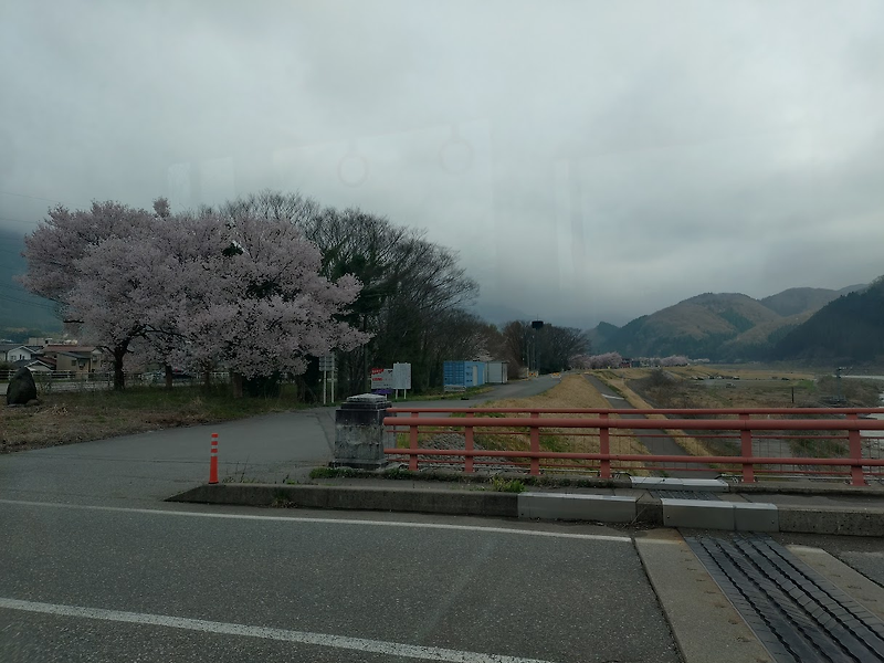 JAIST 생존일지 D+563~565(4/11~4/13) - 먹어도 먹어도 배가 고프다