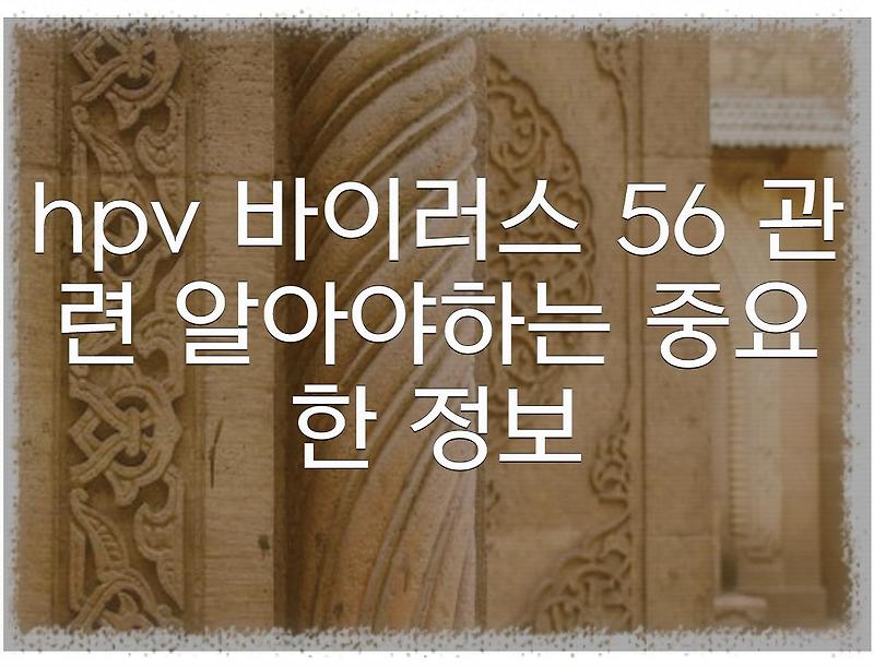 hpv 바이러스 56 관련
