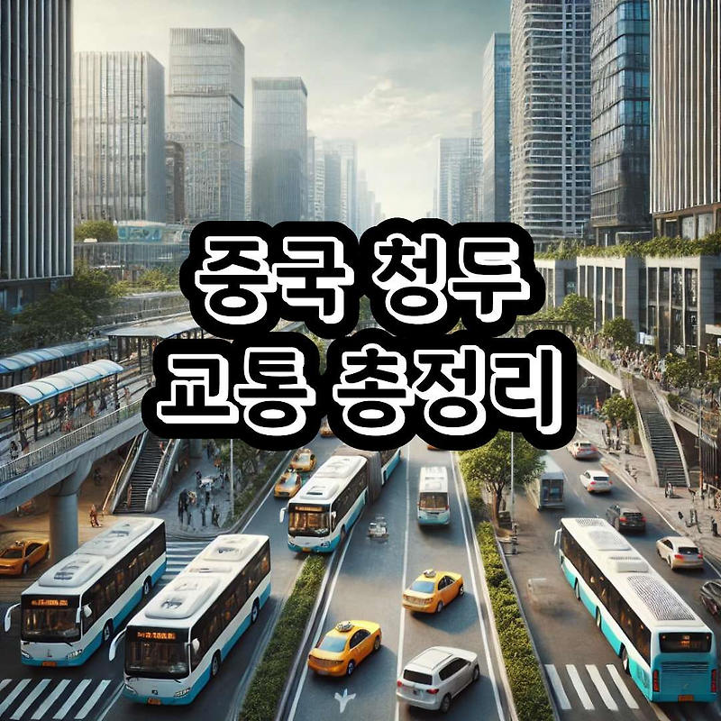 중국 청두 교통 총정리 🚇🚖