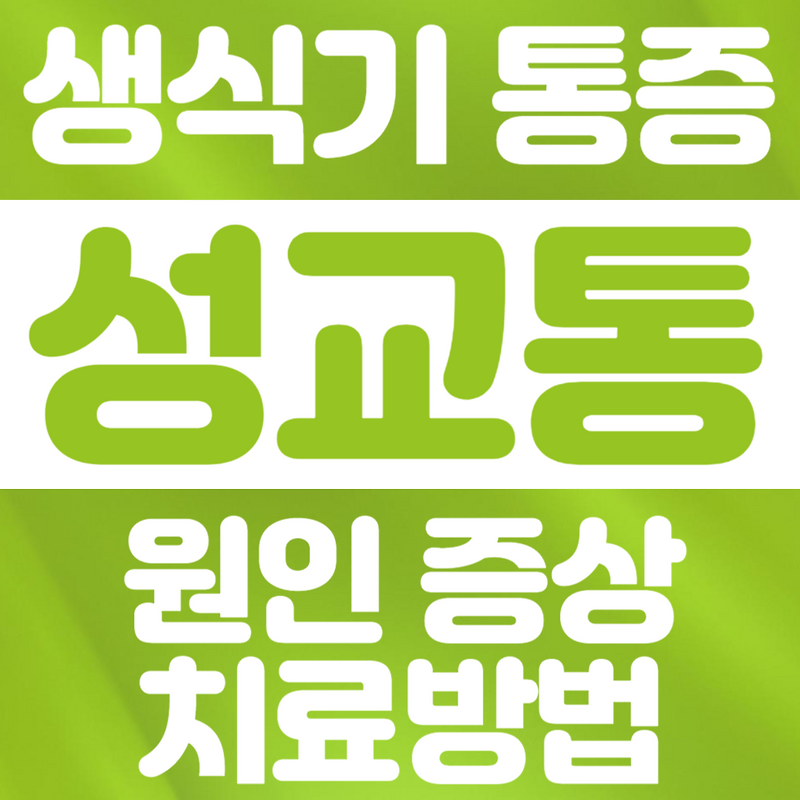 성관계시 통증이? '성교통' 원인 증상 치료방법 알아보기 :: bluesky