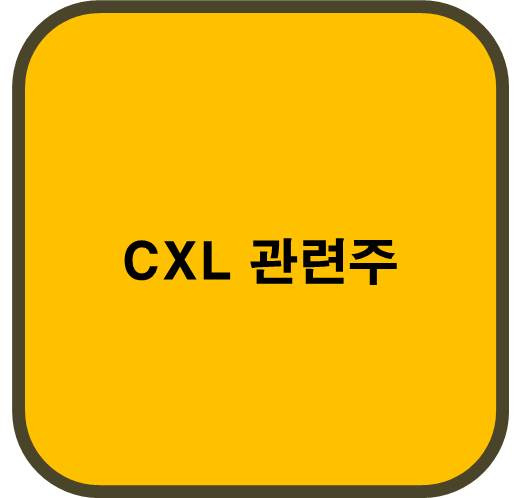 CXL 관련주 5종목