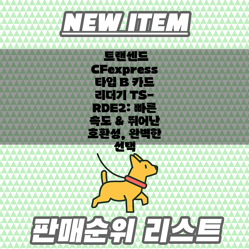 트랜센드 CFexpress 타입 B 카드 리더기 TS-RDE2: 빠른 속도 & 뛰어난 호환성, 완벽한 선택
