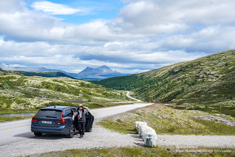 [여행] 노르웨이 자동차 여행 - 1. Rondane (Norwegian Scenic Route)