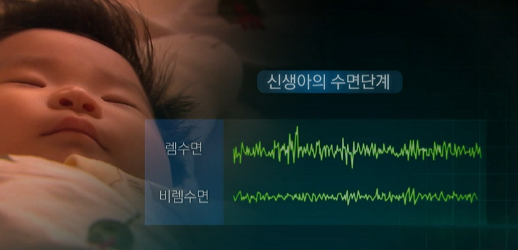 EBS 2011년 잠 1부 인생의 첫 잠