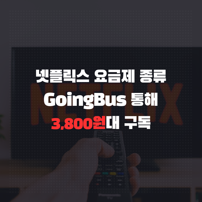 넷플릭스 요금제 종류 및 고잉버스 GoingBus 통해 넷플릭스 프리미엄 매월 3,800원대 구독