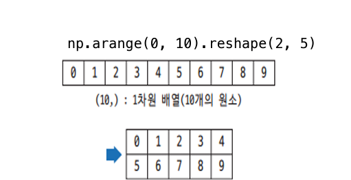 [Python] ndarray의 재구성 reshape