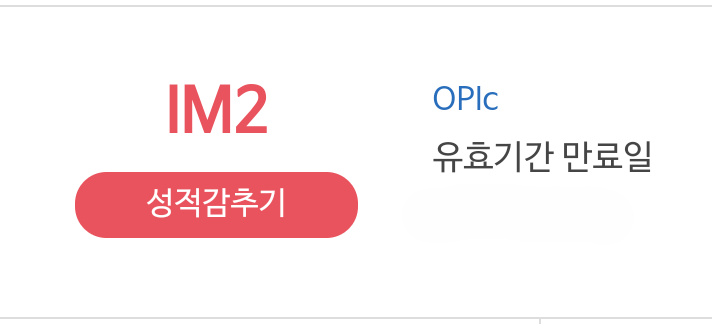 24.06.02 Opic 시험 후기