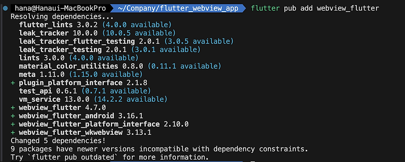 flutter 앱에서 웹뷰 띄우기 webview_flutter 플러그인 — hana's lab 🌱