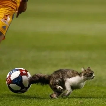 [BOJ 15661] 링크와 스타트 — 짱정연의 짱개발자 도전기