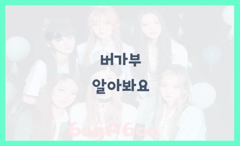 버가부 알아봐요