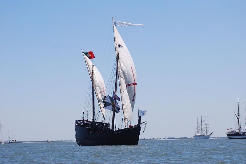 제목 : DG 품목에서 적용되는 PACKING INSTRUCTION 955 (UN2990) 설명, 955 실무 적용 방법,결론