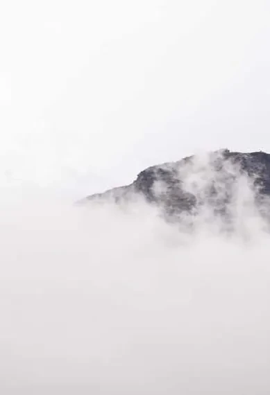 햄스터와 강아지를 함께 키울 때 유의점