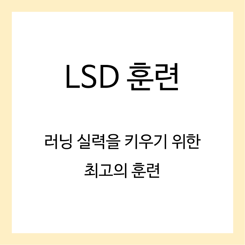 LSD 훈련이란? 효과부터 방법까지 한눈에 정리!