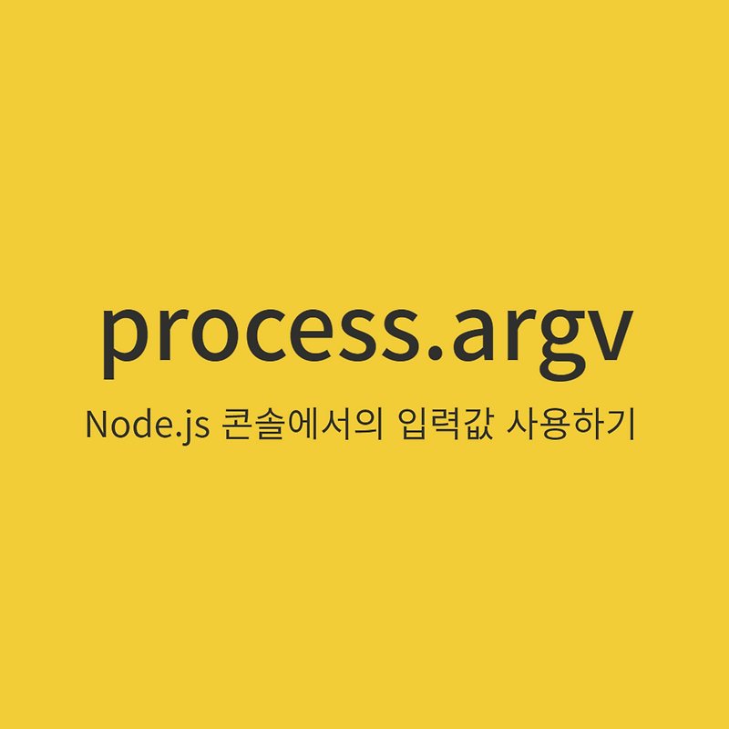 Node.js 콘솔에서의 입력값 사용하기 process.argv