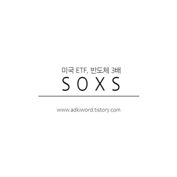 미국 ETF 반도체 3배 SOXS