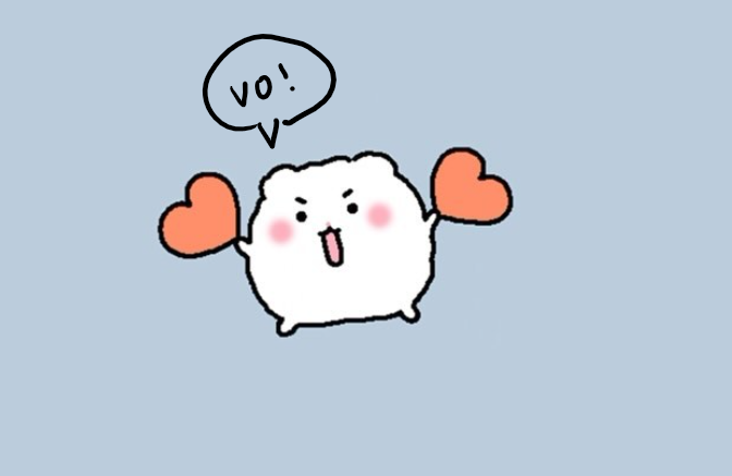 [OOP] 값 객체(VO, Value Object)란? 원시값 포장과 값 객체의 차이점은? — 코딩하는 겸