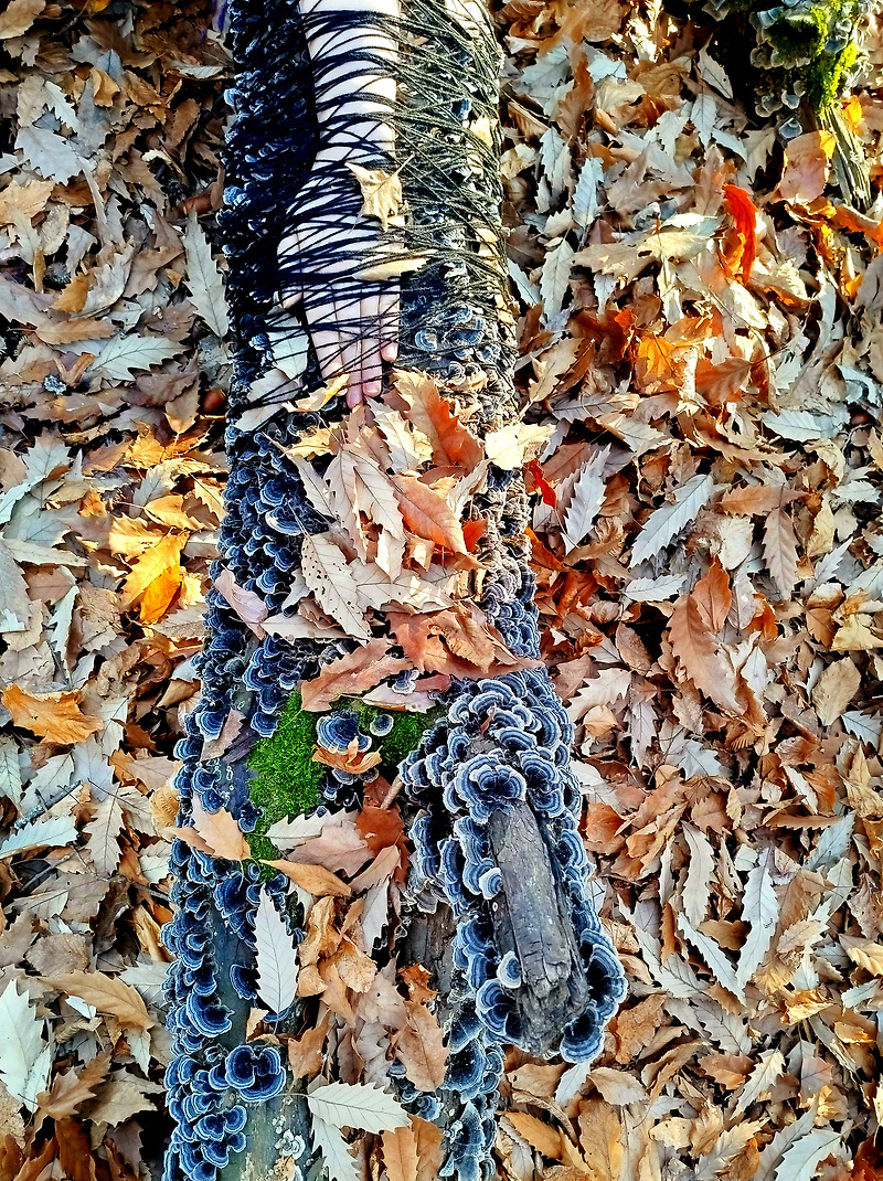 I Feel Pain in My Left Hand