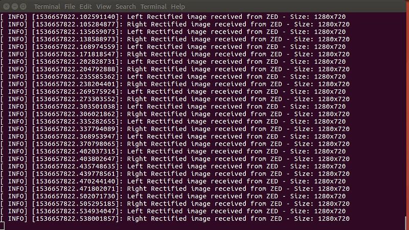 Stereolabs ZED Camera - ROS Noetic Ninjemis Tutorials and Examples — woong
