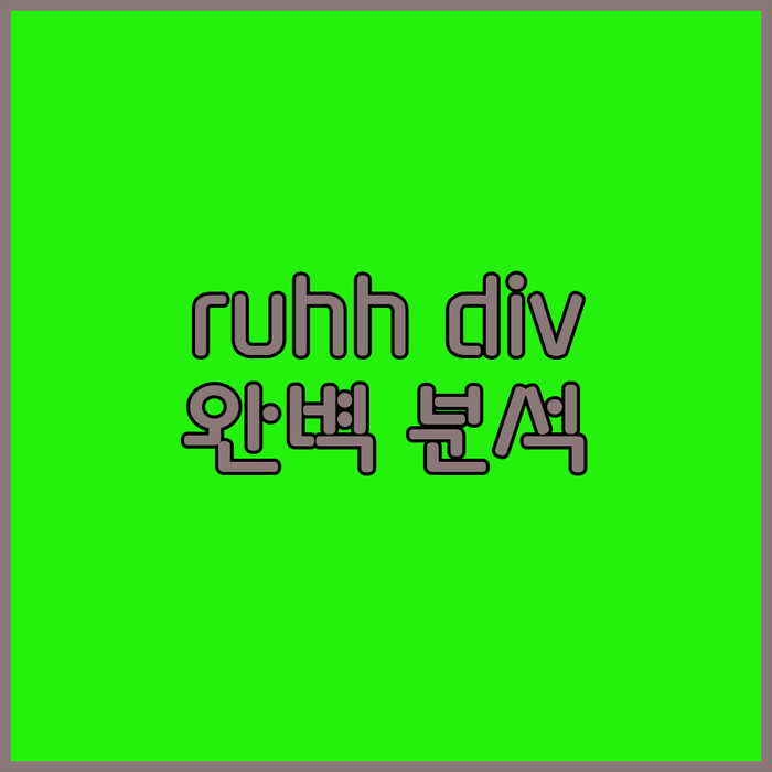 ruhh div 완벽 분석 20대 여성 블로거의 친절한 설명서