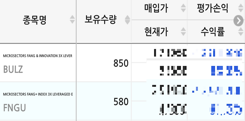 BULZ FNGU 액면병합