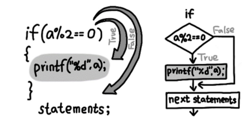 이티의 IT :: [C언어 코드업 문제풀이] CodeUp 1065 : [기초-조건/선택실행구조] 정수 3개 입력받아 짝수만 출력하기(설명)