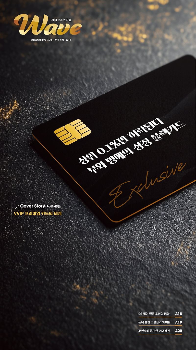 어떤 사람이 VVIP 카드 갖고 있나?