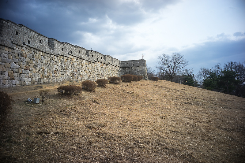 서일치 topogon 25mm