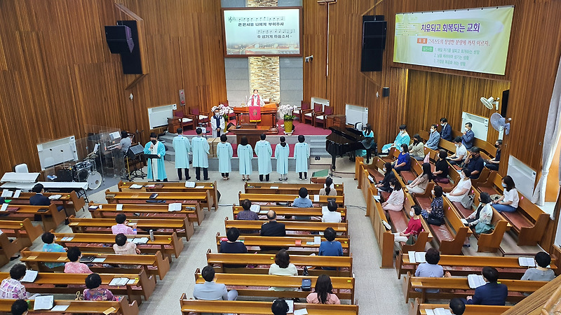 2021.6.20(일) 보리수 따고 잡초제거