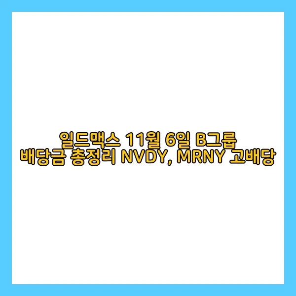 일드맥스 11월 6일 B그룹 배당금 총정리 NVDY, MRNY 고배당