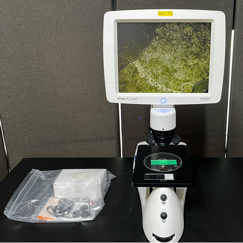 EVOS FL Imaging System AMF4300 위상차 도립형광 현미경 (AK170_1)