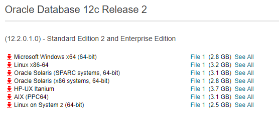 CentOS 7 에서 Oracle 12c 설치하기(GUI 원격 설치)