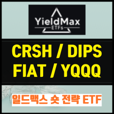 일드맥스 숏 옵션 인컴 ETF - CRSH, DIPS, FIAT, YQQQ