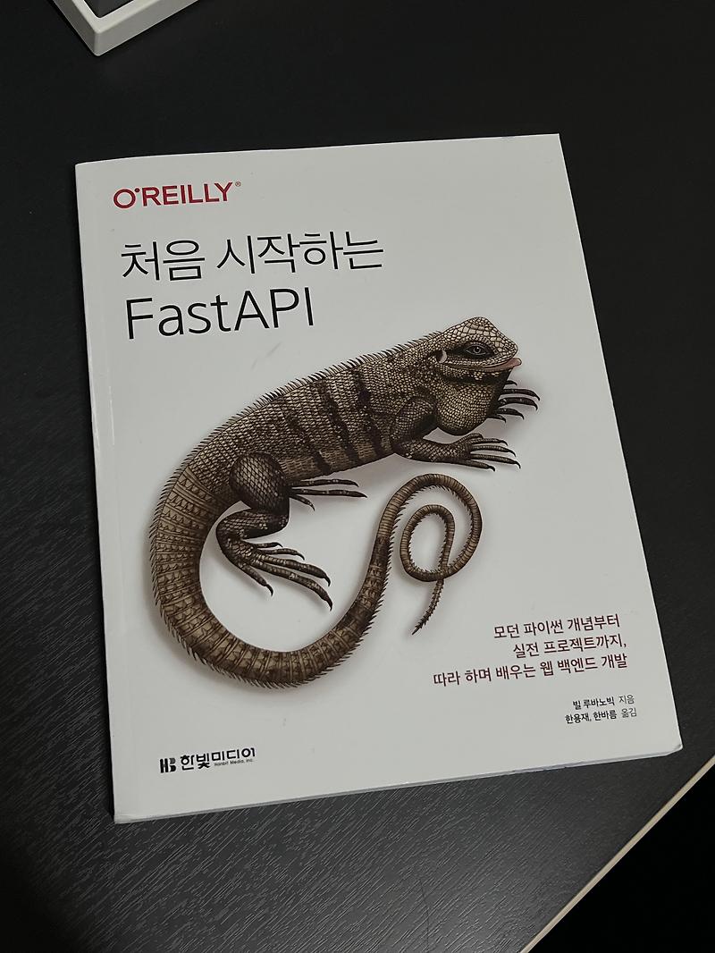 [Book Review] FastAPI 책 추천, 처음 시작하는 FastAPI
