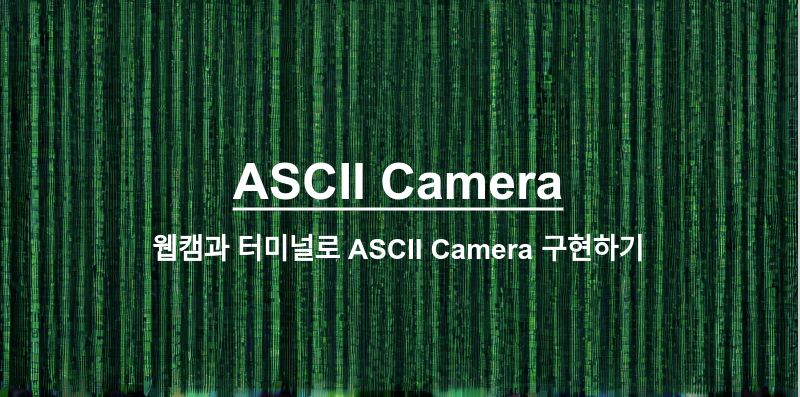 웹캠과 터미널로 ASCII Camera 구현하기
