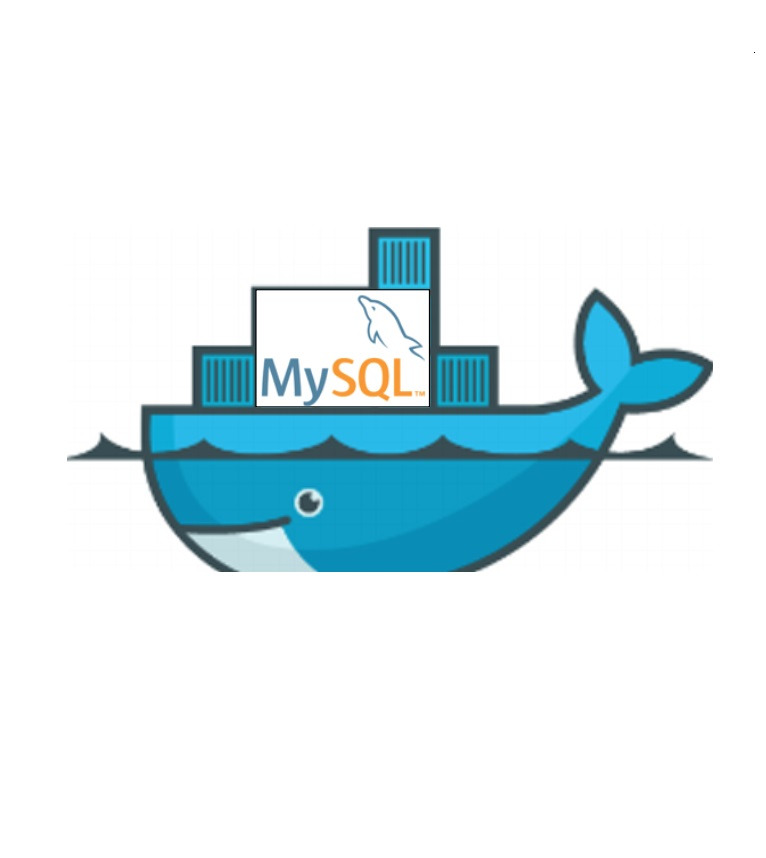 DOCKER에 MySql 설치 및 실행