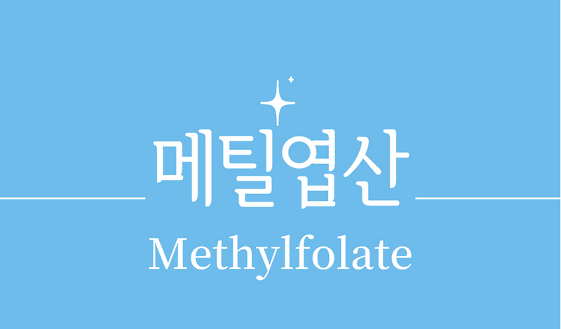 '메틸엽산(Methylfolate)'효능,효과,권장량,부작용,음식