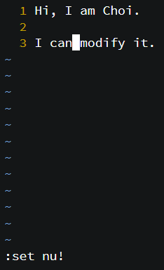 vim 코드 행 번호 보이게 하기 by bskyvision.com