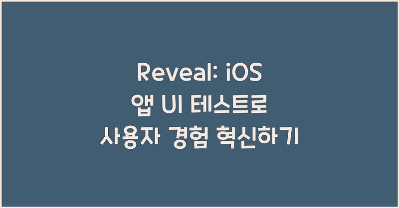 Reveal: iOS 앱 UI 테스트로 사용자 경험 혁신하기