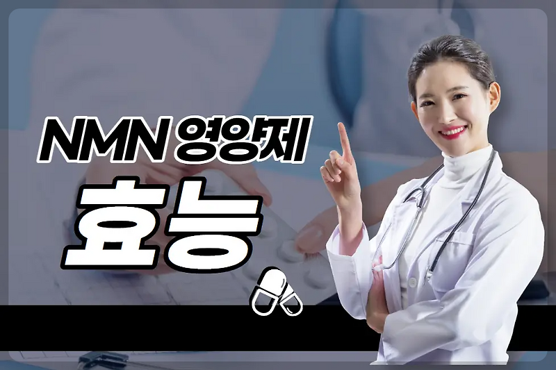 NMN 영양제 효능과 가격, 시험관