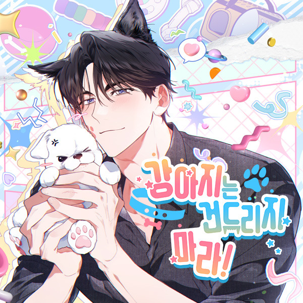 강아지는 건드리지 마라