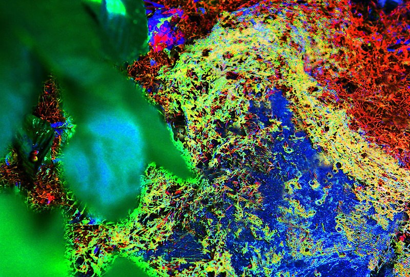 추상화(Abstraction)＆비구상(Unconceived idea)287.