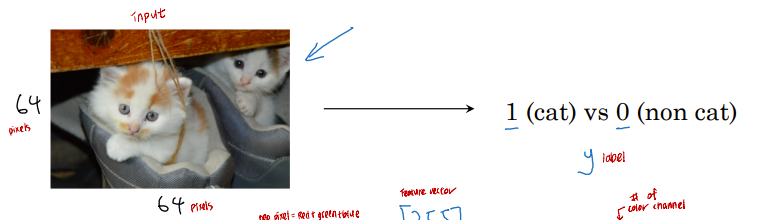 [Deep Learning Specialization] C1-W2: Basics of Neural Network ...