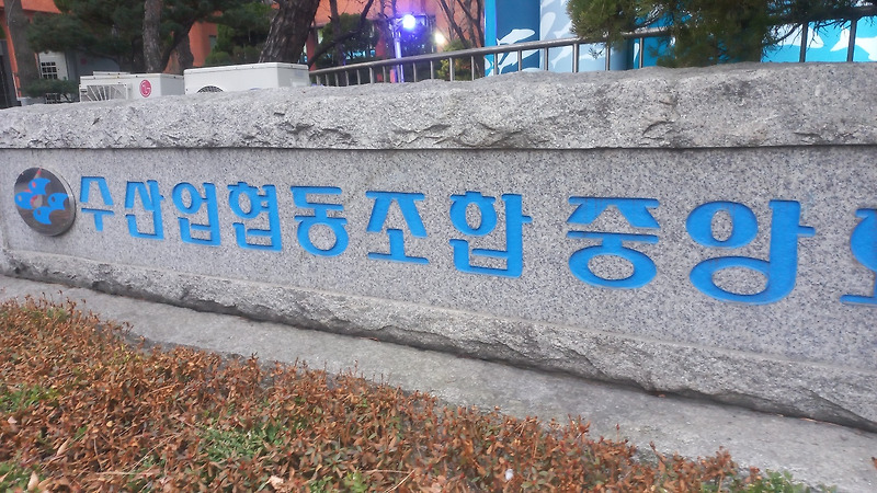 수협 “동해 자원 급감 심화 조짐 우려” 동해 오징어 이어 도루묵도 4년 전보다 84 감소